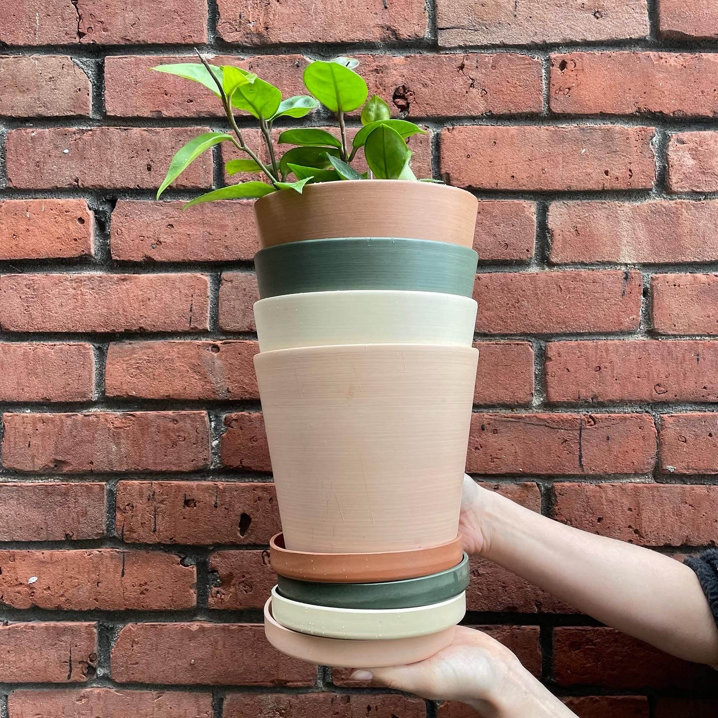 Kanso Designs Tapered Pots | Plant & Curio