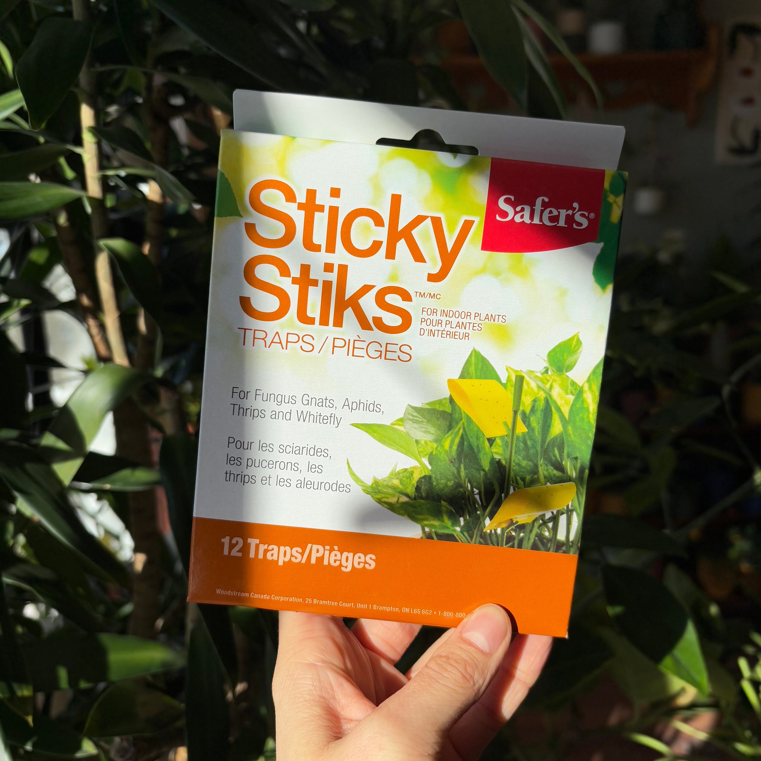 Safer’s Sticky Stiks | Plant & Curio